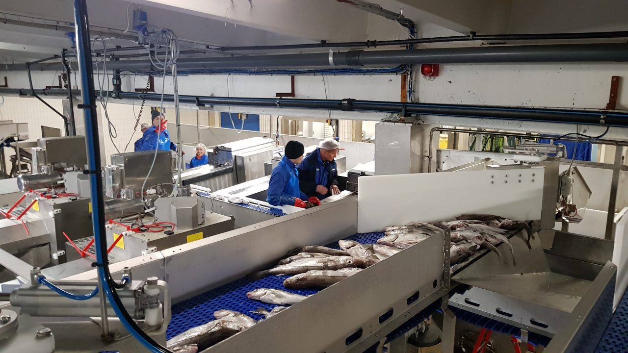 20180207_165158 – Melbu Systems